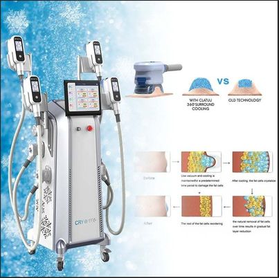 Cryo Sculpting – Polished Spa